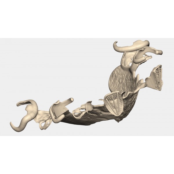 PartialCAD Module of EXOCAD DentalCAD 3D Design Software